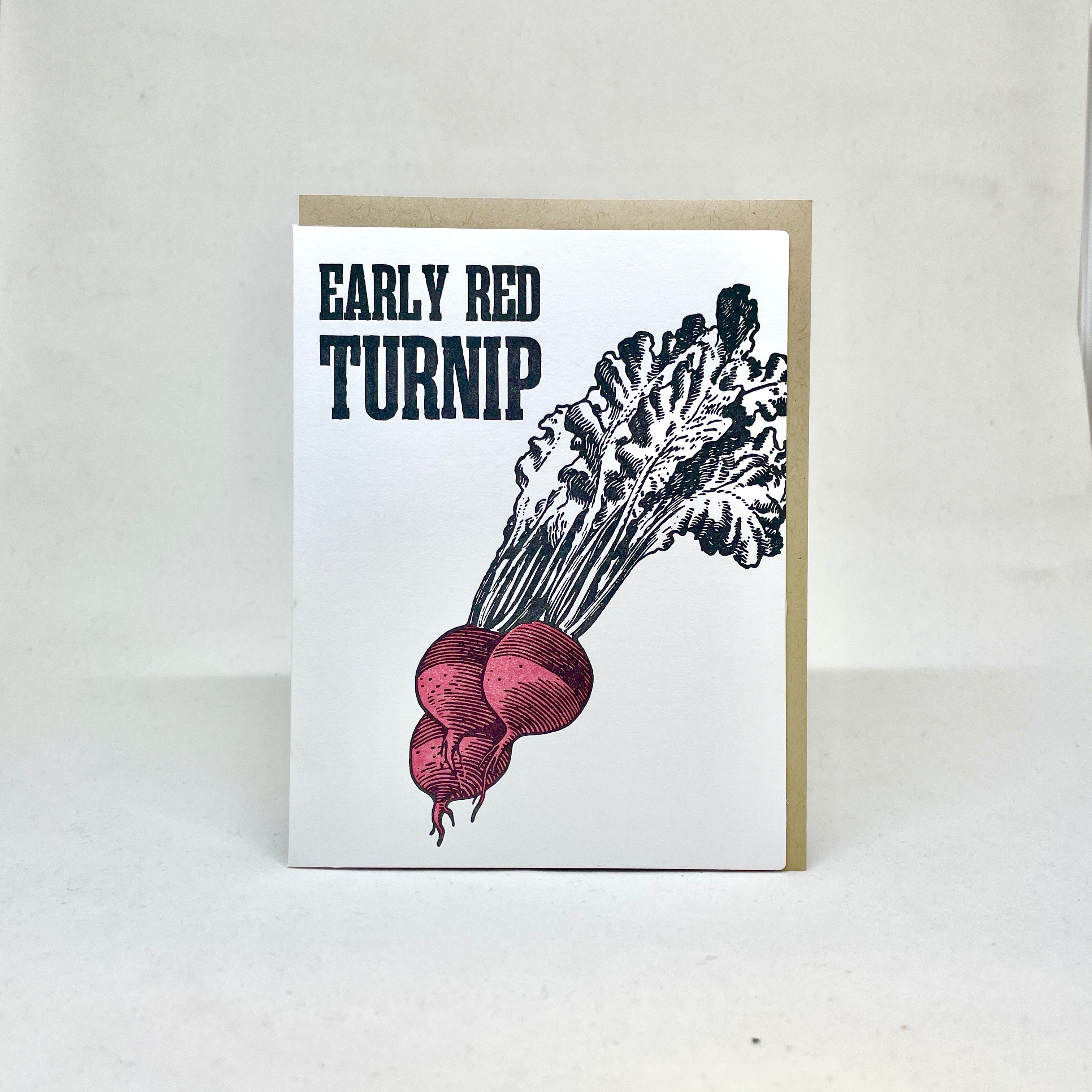 Early Red Turnip - Shaker Seeds – Big Wheel Press